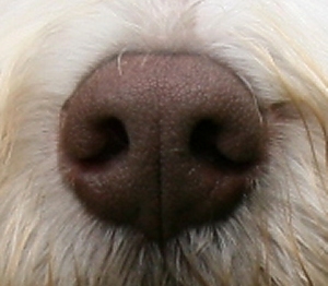 Untitled Document [www.bcx-uk.co.uk]